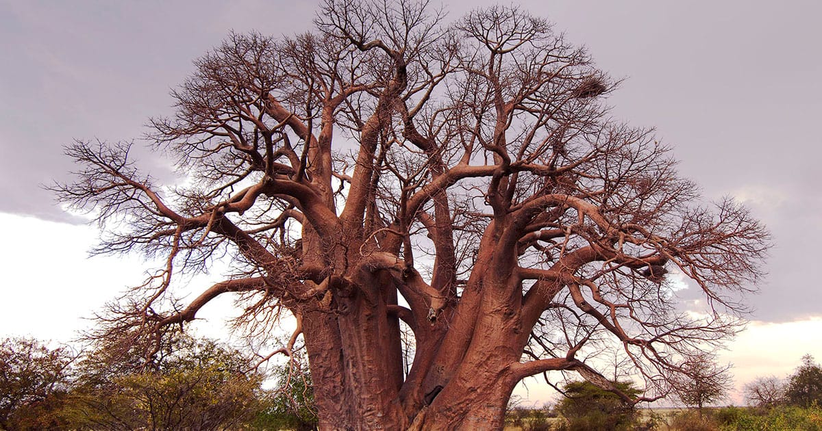 The Uber Engineering Tech Stack, Part I: The Foundation | Uber Blog