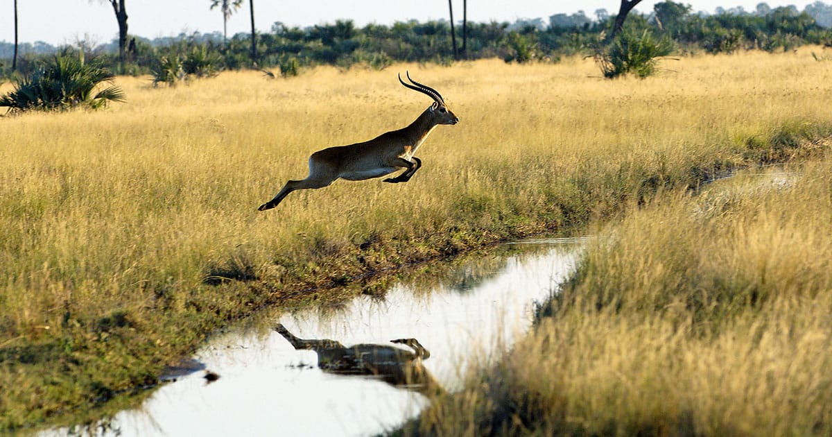 Introducing AthenaX, Uber’s Open Source Streaming Analytics Platform | Uber Blog