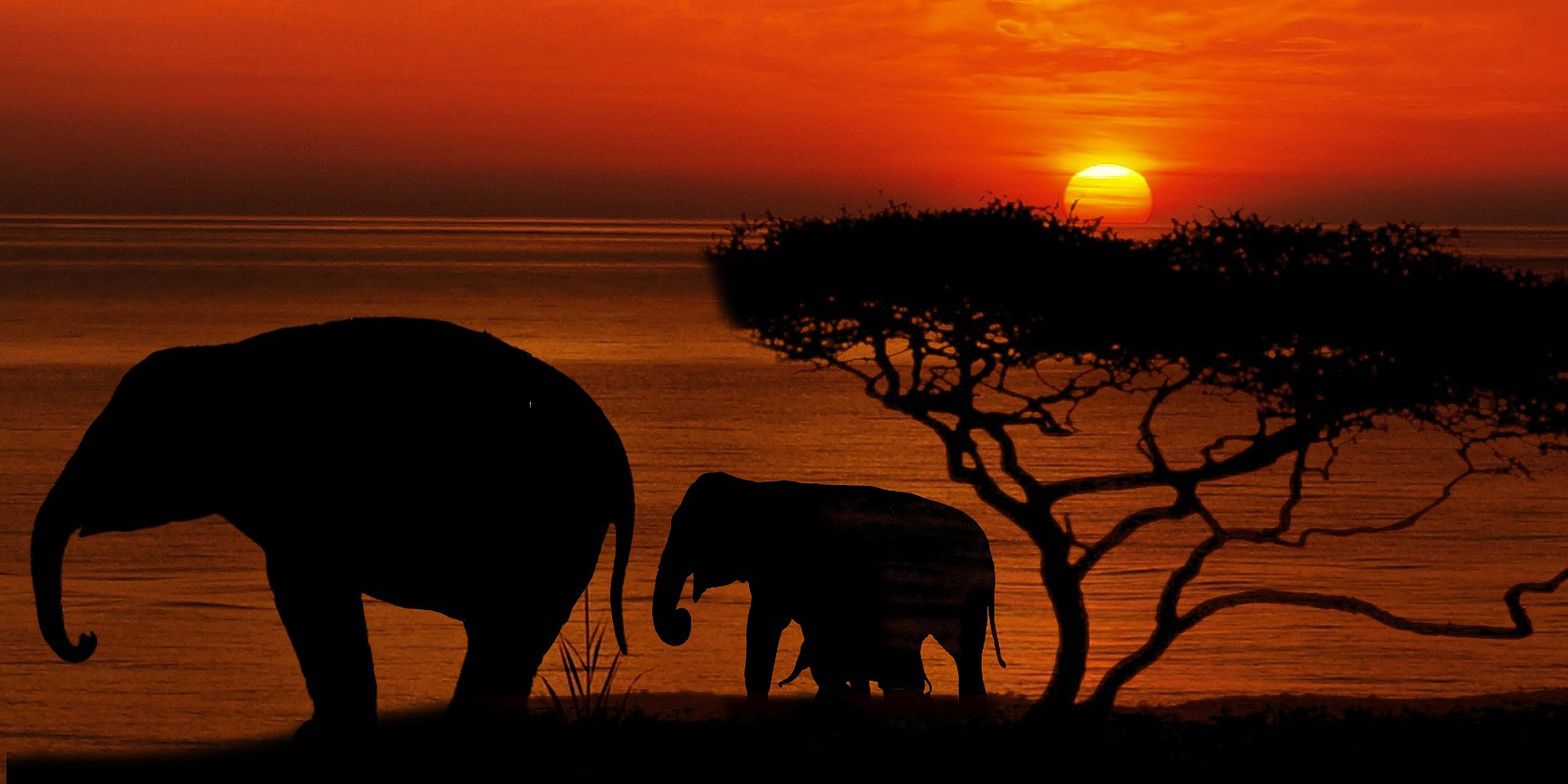 Year in Review: 2017 Highlights from Uber Open Source | Uber Blog