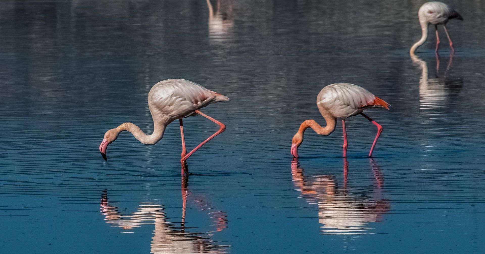 Using GraphQL to Improve Data Hydration in our Customer Care Platform ...