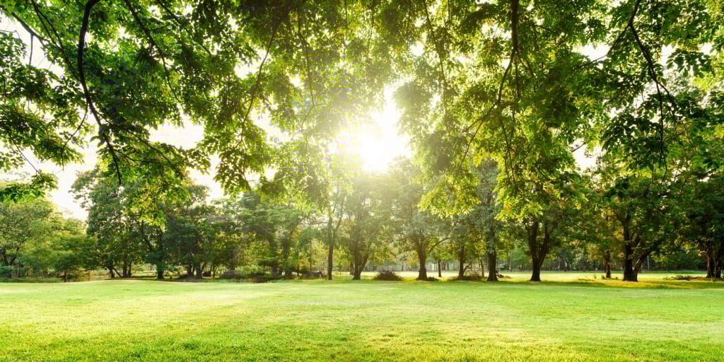 Parques en Tijuana para conocer y explorar | Uber Blog