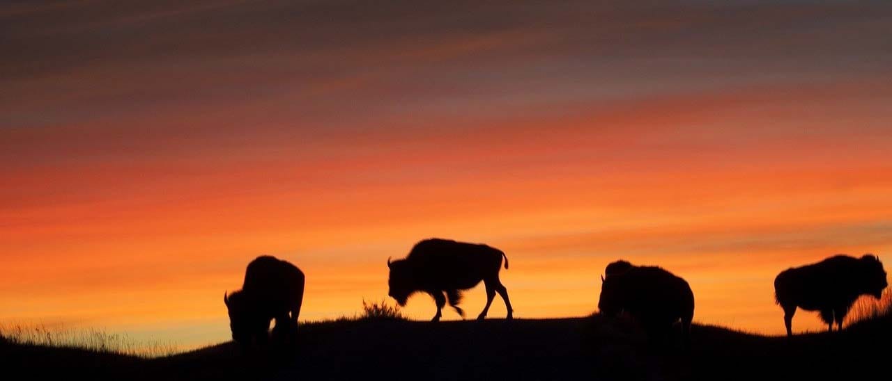 Year in Review: 2019 Highlights from the Uber Engineering Blog | Uber Blog