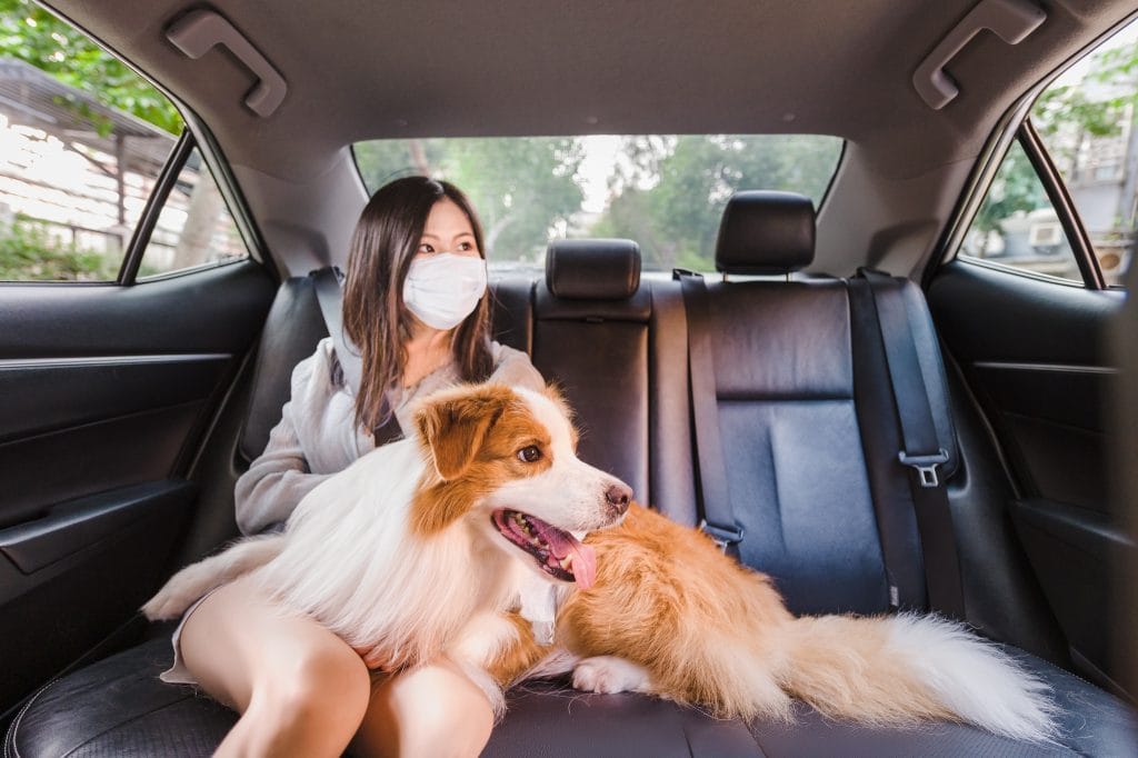 「Uber Pet 毛孩優步」貼心上路：帶著牠，說走就走，一起暢遊城市！ | Uber Blog