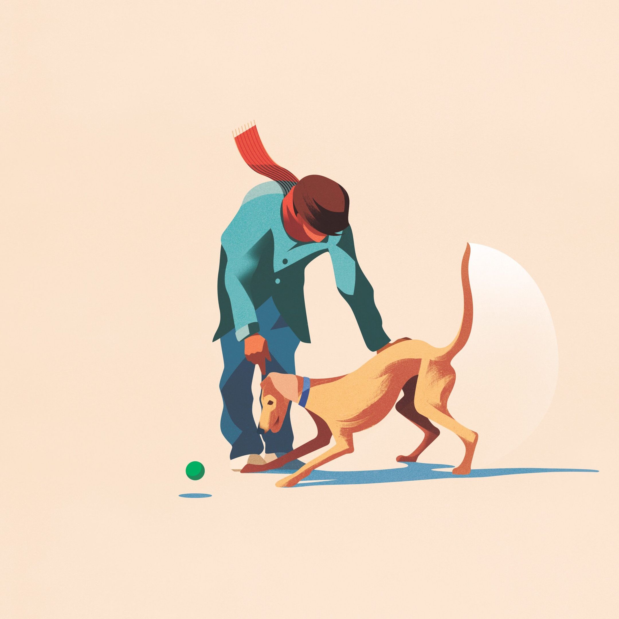 Introducing rides for you and your pet 🐾 | Uber Blog