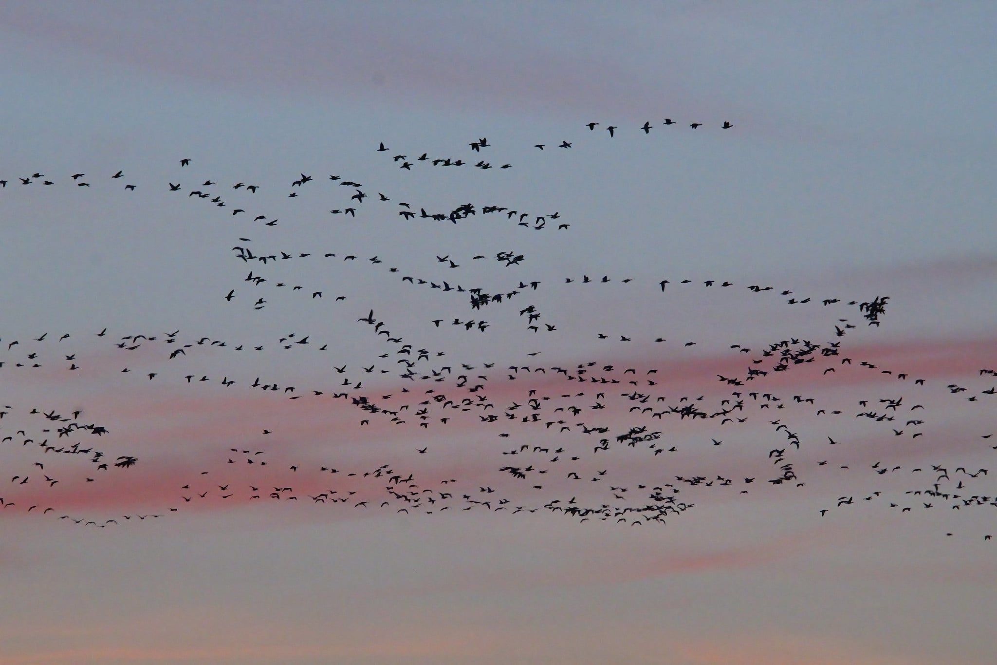 Migrating Uber's Ledger Data from DynamoDB to LedgerStore | Uber Blog