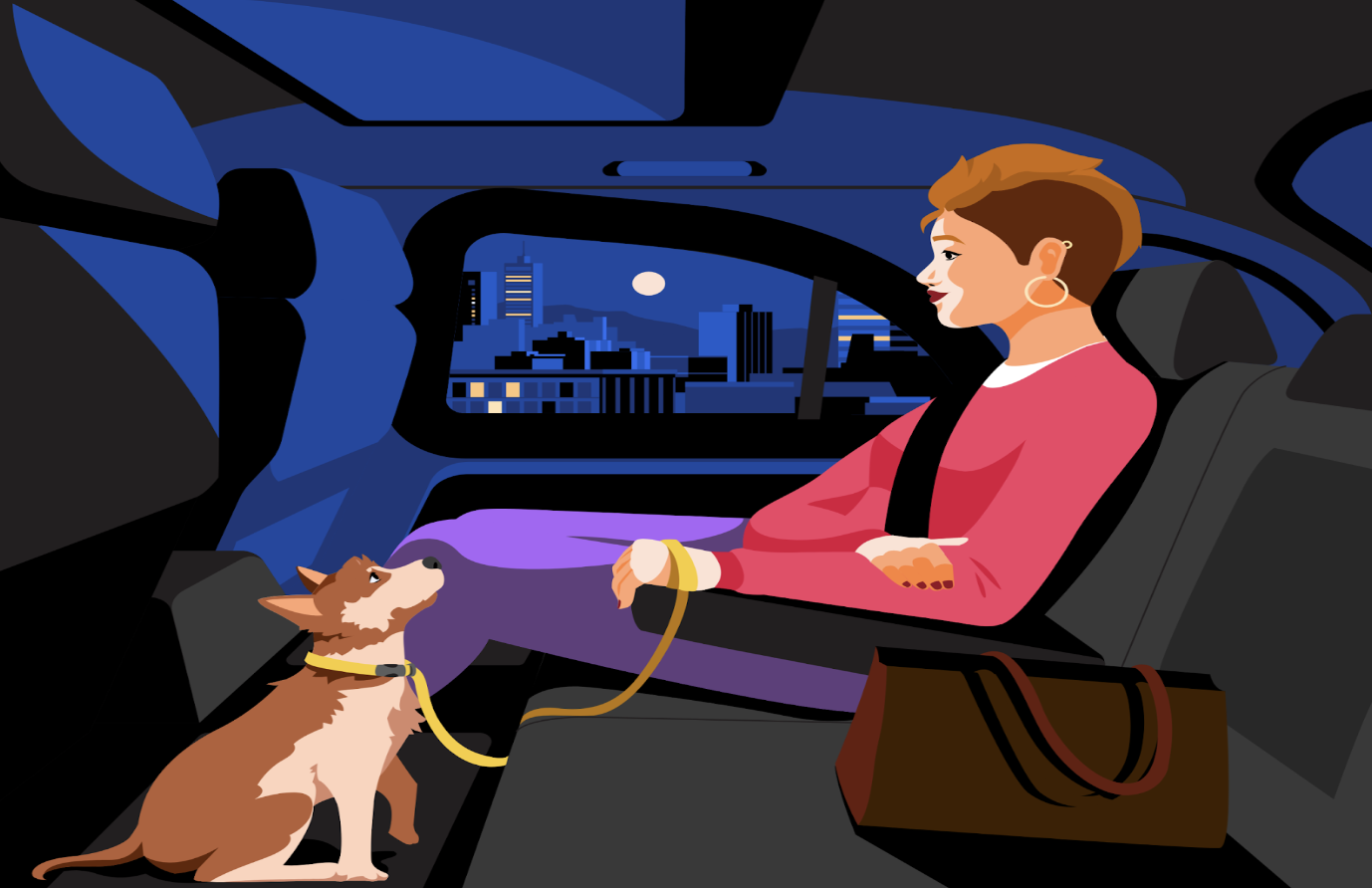 Introducing Uber Pet — A ride for all paws | Uber Blog